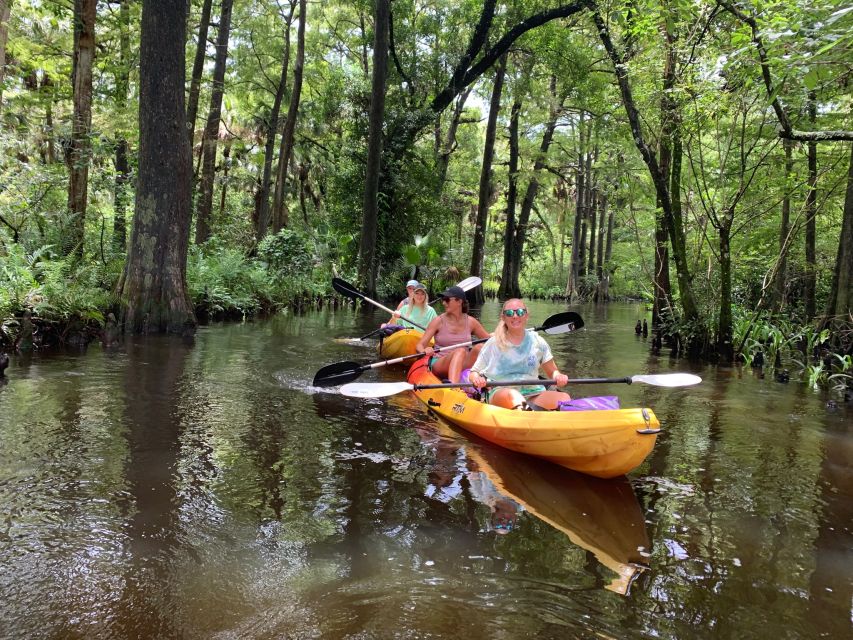 Jupiter: Wild and Scenic Loxahatchee River Kayak Tour - Exploring the Tour Itinerary and Experience
