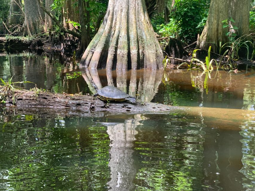 Jupiter: Wild and Scenic Loxahatchee River Kayak Tour - Price & Value Analysis