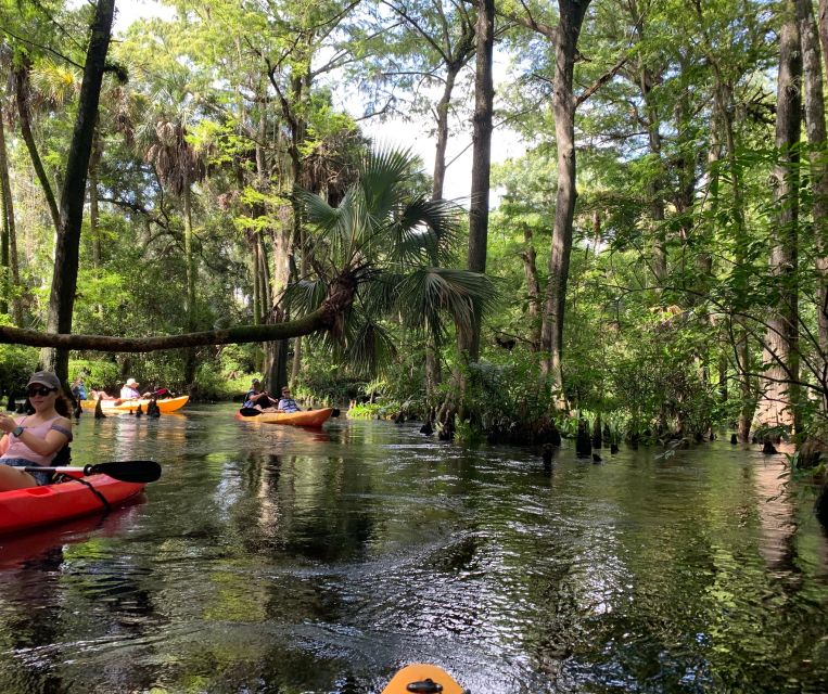 Jupiter: Wild and Scenic Loxahatchee River Kayak Tour - FAQ