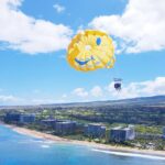 Kaanapali Beach Parasailing: Soar Above Mauis Stunning Coastline - The Itinerary: What to Expect During Your Flight