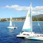 Kaanapali: Sunset Dinner Catamaran Cruise With Drinks - Final Thoughts