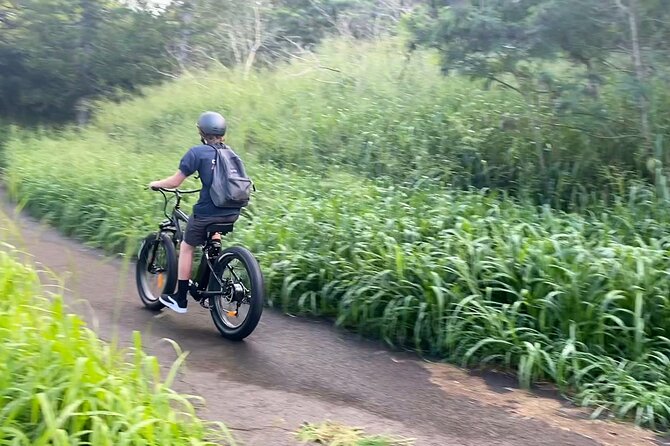 Kaanapali to Kapalua Maui Explorer Electric Bike Rental - Punctuality and Service