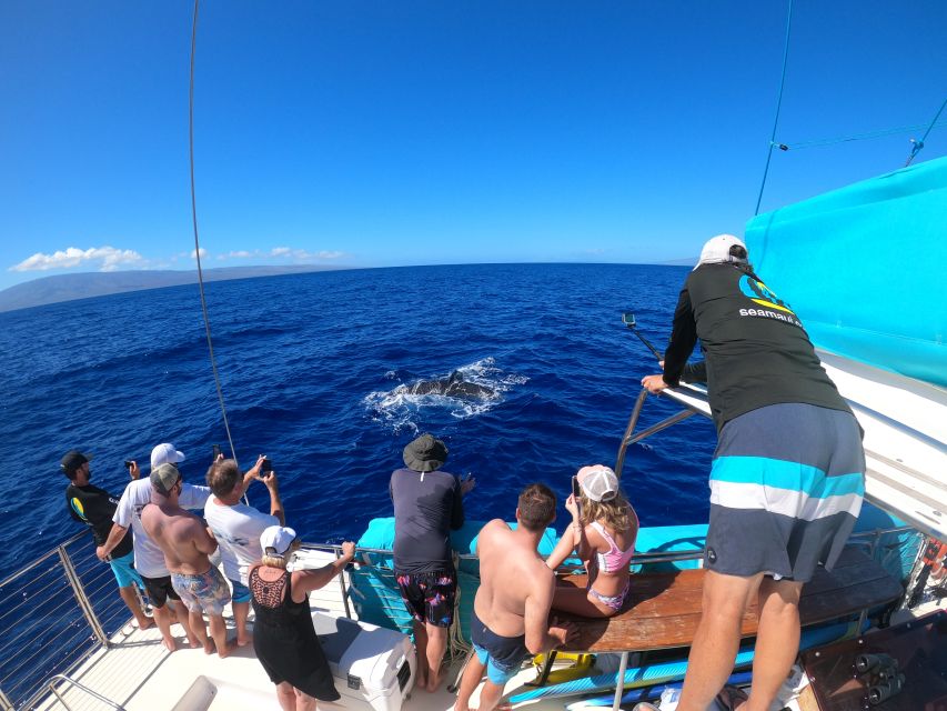 Kaanapali: Whale Watching Cruise with Open Bar - What to Expect During the Tour