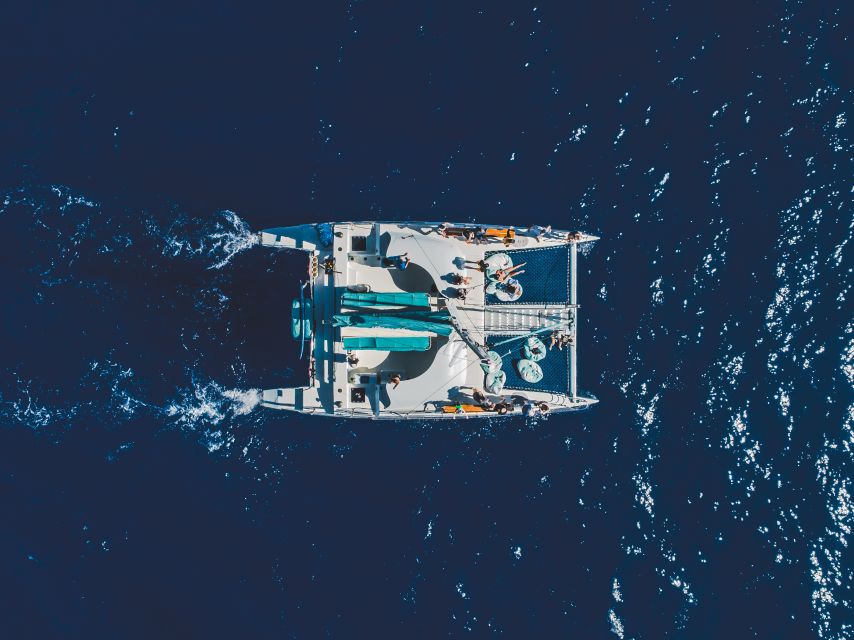 Kaanapali: Whale Watching Cruise with Open Bar - The Experience from Different Perspectives