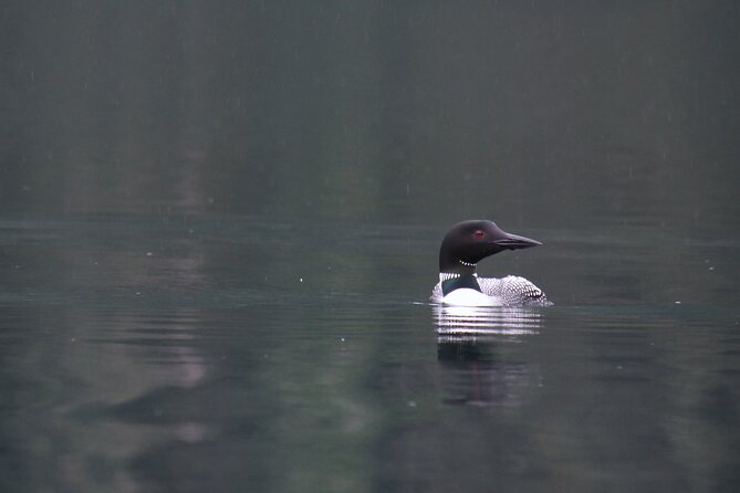 Kachemak Bay Wildlife Tour - Frequently Asked Questions