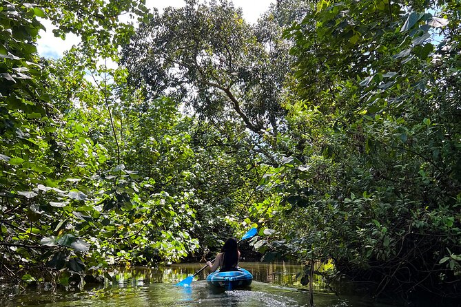 Kahana Bay River to Ocean: Kayak and Stand Up Paddle Board Rental - Key Points