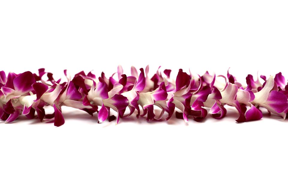 Kahului Airport: Maui Flower Lei Greeting Upon Arrival - Navigating the Arrival Process