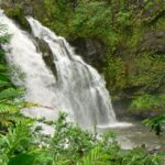 Kahului: Guided Rainforest and Waterfall Walk - What’s Included and What to Bring