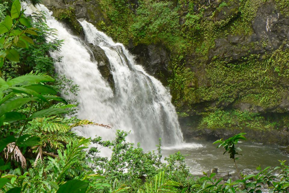 Kahului: Guided Rainforest and Waterfall Walk - What’s Included and What to Bring