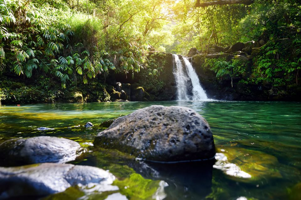 Kahului: Guided Rainforest and Waterfall Walk - The Guides and Their Impact