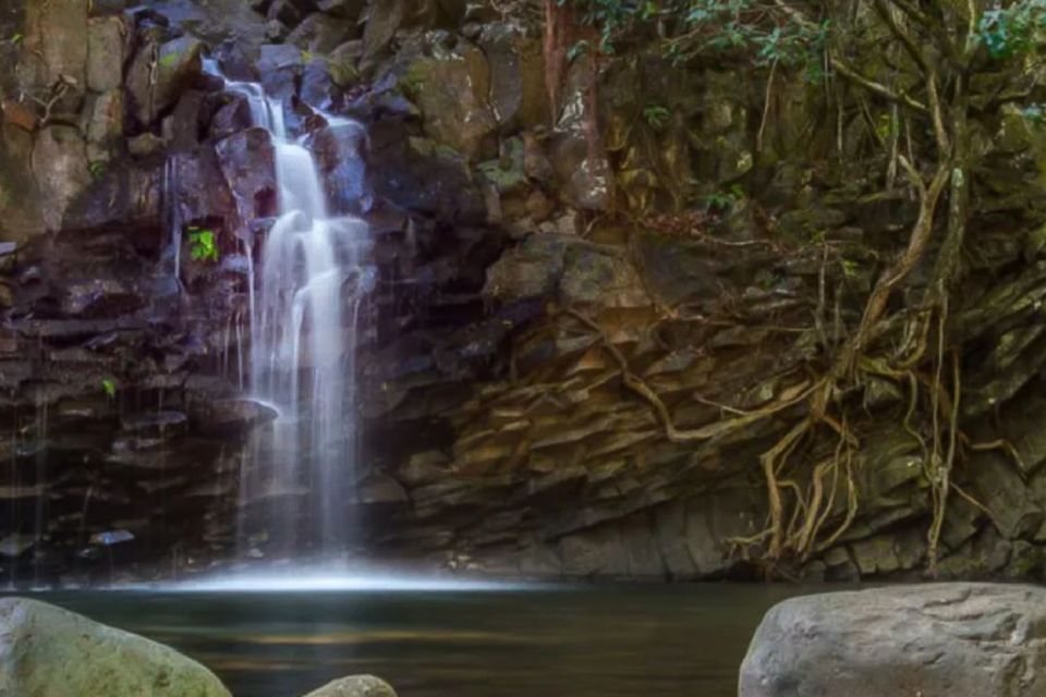 Kahului: Guided Rainforest and Waterfall Walk - The Real Value of This Tour