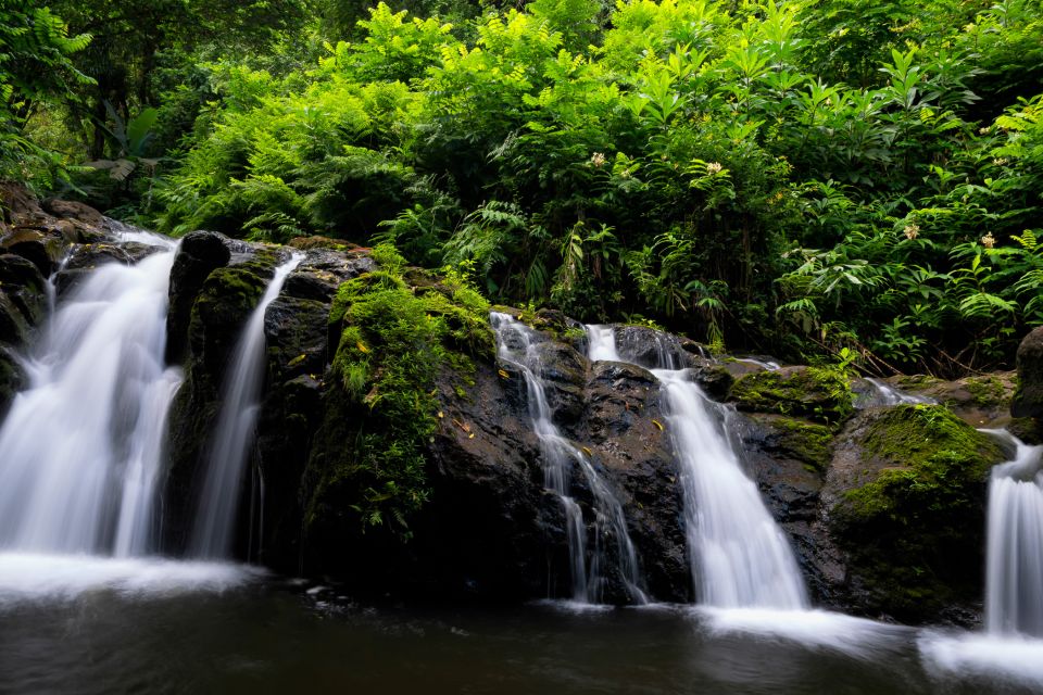 Kahului: Guided Rainforest and Waterfall Walk - Who Should Book This Tour?