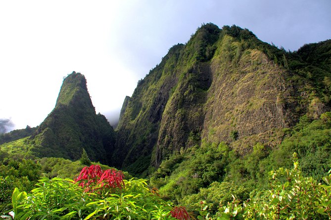 Kahului Shore Excursion: Private Tropics of Maui & Rainforest - An In-Depth Look at the Maui Private Shore Tour