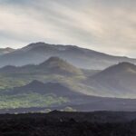 Kahului Shore Excursion: Private Tropics of Maui & Rainforest - How the Tour Adds Value