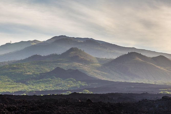Kahului Shore Excursion: Private Tropics of Maui & Rainforest - How the Tour Adds Value
