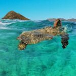 Kailua 2-Hour Guided Kayaking Excursion, Oahu - The Sum Up