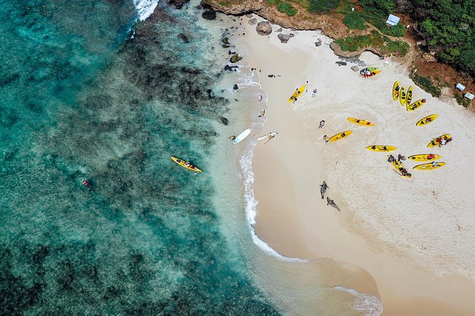 Kailua Bay, Oahu: Epic Kayak and Snorkel to Islands with Lunch - Diving Into the Experience: What You Can Expect