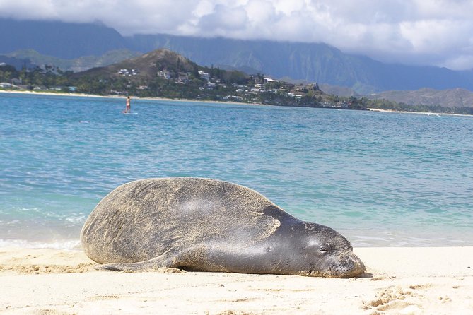 Kailua Bay, Oahu: Epic Kayak and Snorkel to Islands with Lunch - The Sum Up