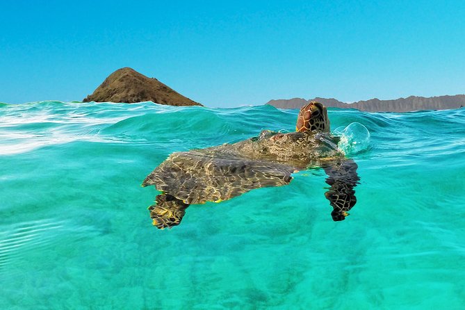 Kailua Bay, Oahu: Epic Kayak and Snorkel to Islands with Lunch - FAQs
