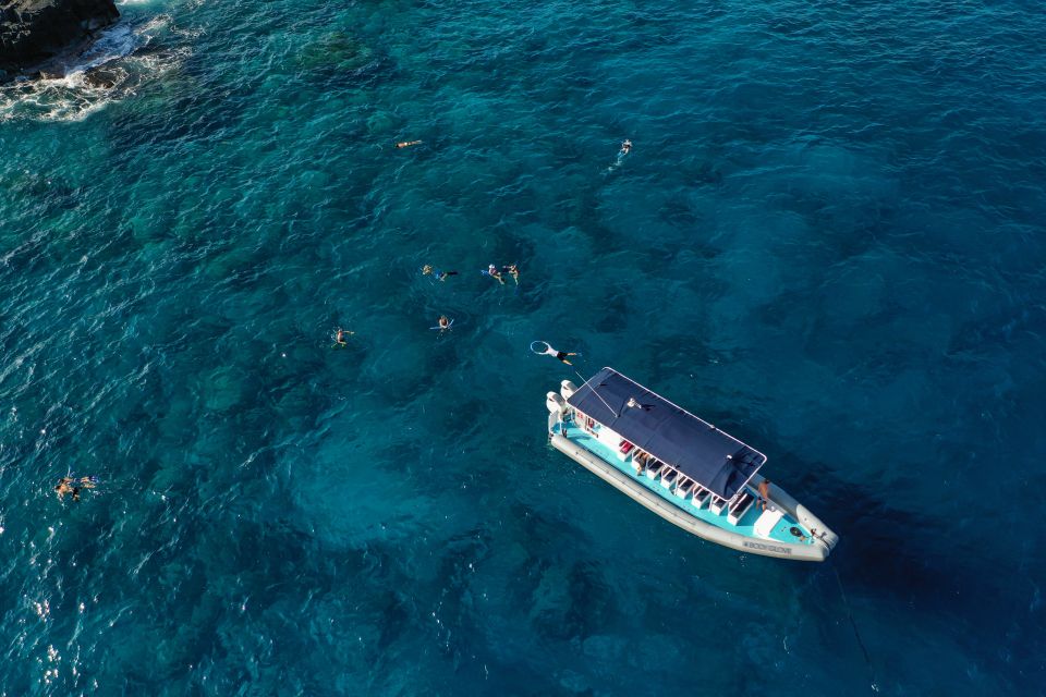 Kailua-Kona: Big Island Morning Snorkeling Tour with Lunch - Itinerary Breakdown