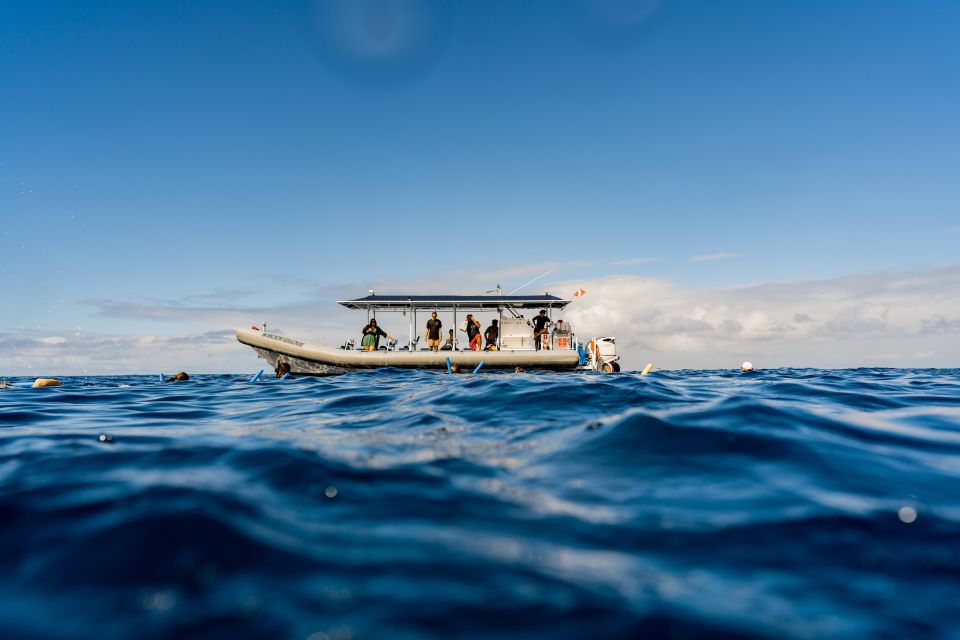 Kailua-Kona: Big Island Morning Snorkeling Tour with Lunch - What’s Included & What’s Not