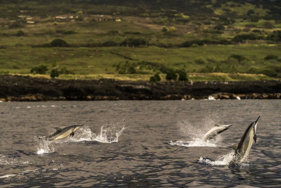 Kailua-Kona: Big Island Morning Snorkeling Tour with Lunch - Experience Duration & Practical Tips