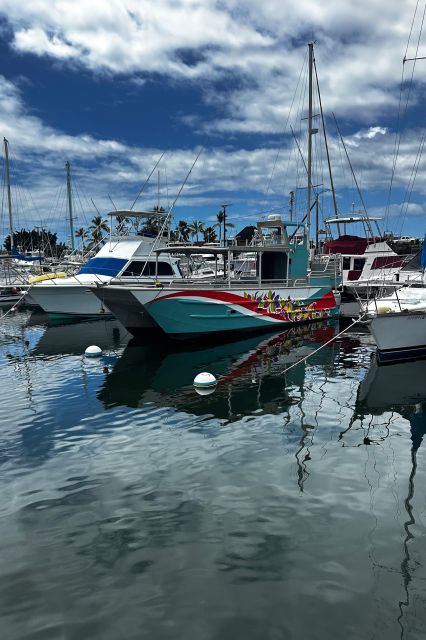 Kailua-Kona: Captain Cook Reef Catamaran Day Trip with Lunch - An In-Depth Look at the Tour Experience