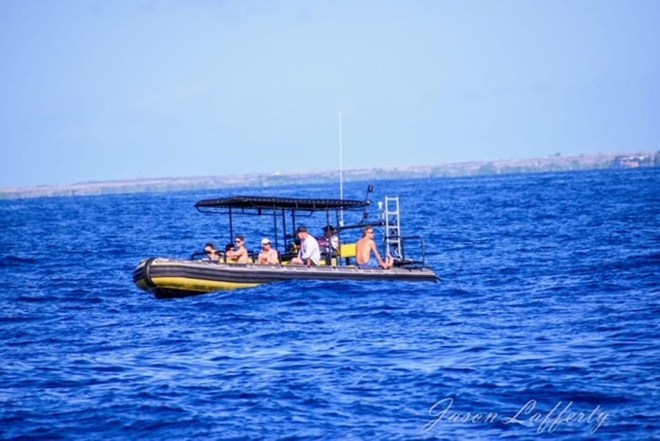 Kailua-Kona: Kealakekua Bay and Captain Cook Monument Tour - Practical Tips for Booking and Enjoying the Tour