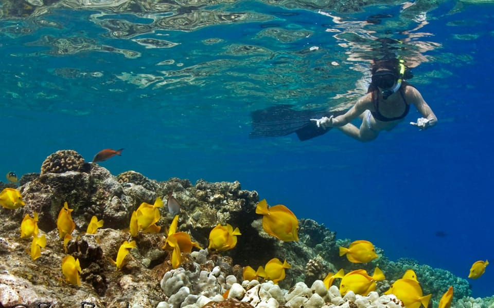 Kailua-Kona: Kealakekua Bay and Captain Cook Monument Tour - FAQ