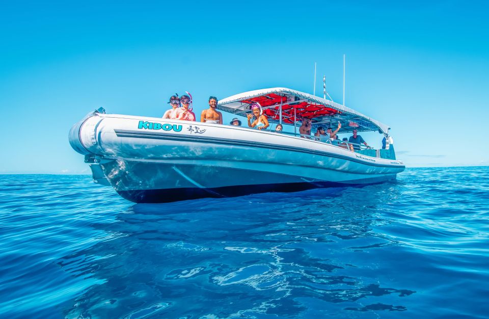 Kailua-Kona: Manta Ray Snorkeling with Hot Cocoa - Who Will Love This Tour?