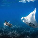 Kailua-Kona: Manta Ray Snorkeling with Hot Cocoa - Final Thoughts