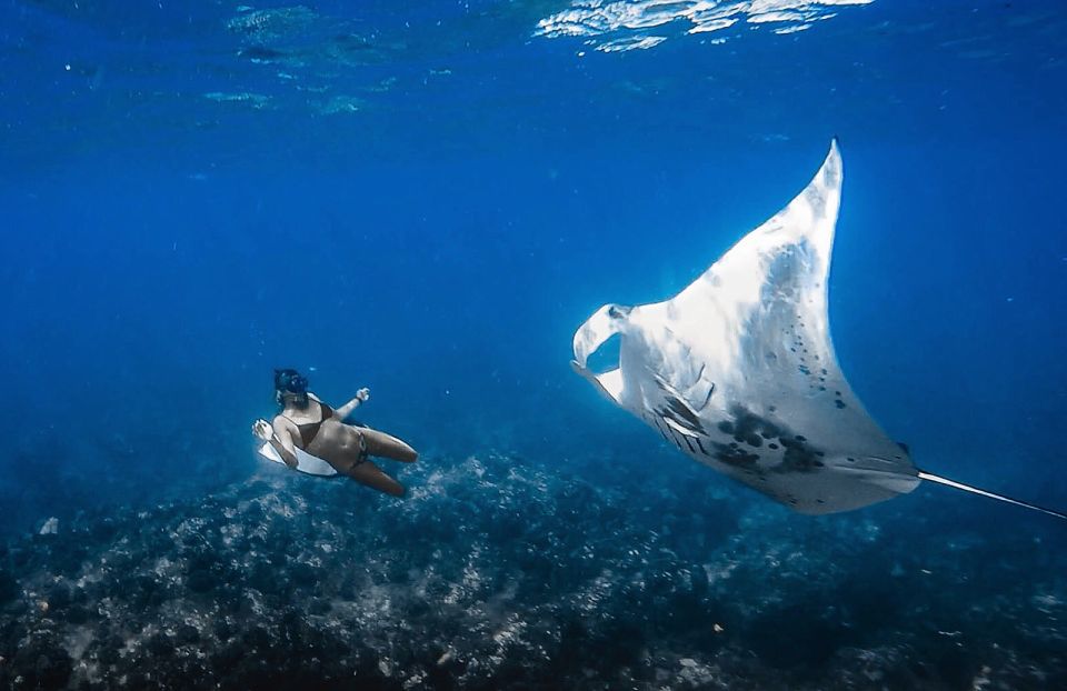 Kailua-Kona: Manta Ray Snorkeling with Hot Cocoa - Final Thoughts