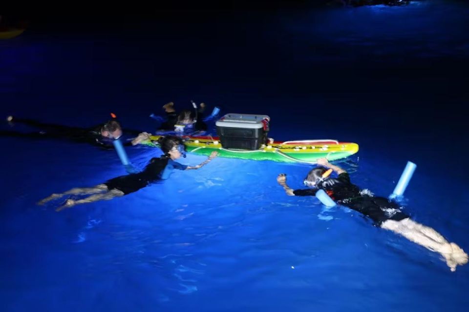 Kailua-Kona: Manta Ray Spotting Night Snorkeling Tour - Why this Tour Stands Out: The Details