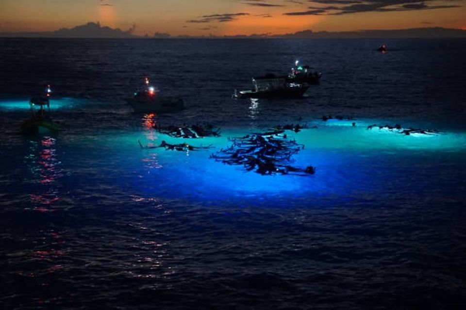 Kailua-Kona: Manta Ray Watching Nighttime Boat Trip - Is It Worth the Price? Analyzing Value