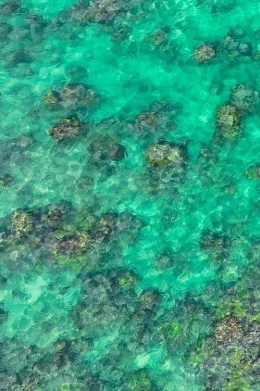 Kailua, Oahu: Guided E-Bike & Kayak Tour to Mokulua Islands - Practical Details and Value