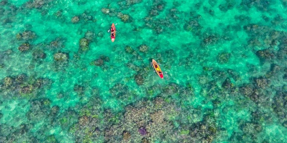 Kailua, Oahu: Guided E-Bike & Kayak Tour to Mokulua Islands - Why This Tour Is Worth It