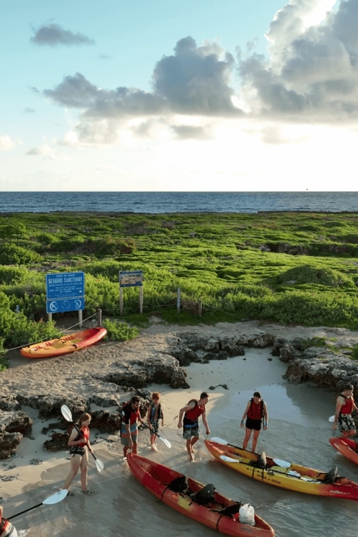 Kailua, Oahu: Popoia Island & Kailua Bay Guided Kayak Tour - An In-Depth Look at the Kailua Kayak Adventure
