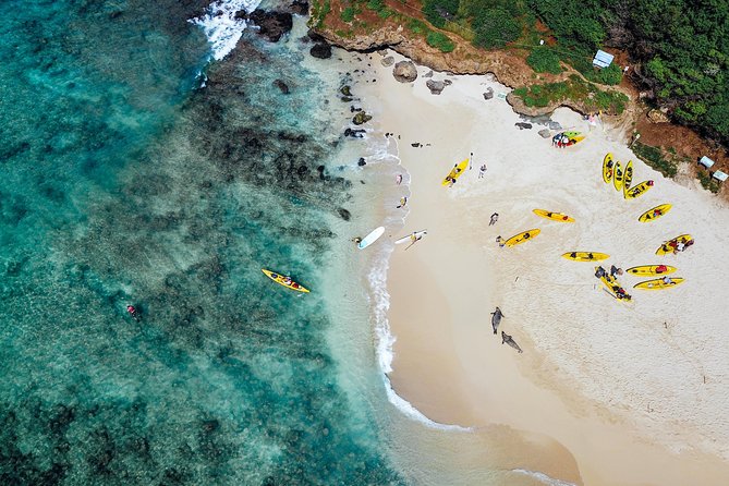 Kailua Twin Islands Guided Kayak Tour, Oahu - An In-Depth Look at the Kailua Twin Islands Guided Kayak Tour  