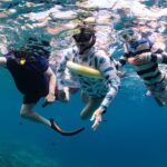 Kaimana Kealakekua Bay Captain Cook Adventure - Who Is This Tour Best For?