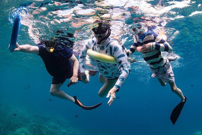 Kaimana Kealakekua Bay Captain Cook Adventure - Who Is This Tour Best For?