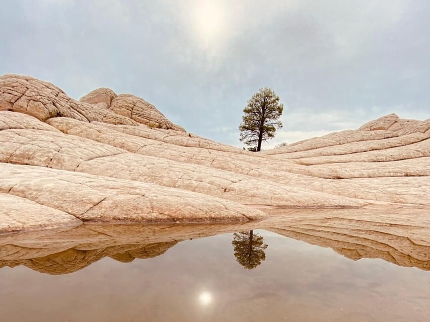 Kanab: White Pocket Rock Formation Tour - What to Expect on the White Pocket Rock Formation Tour