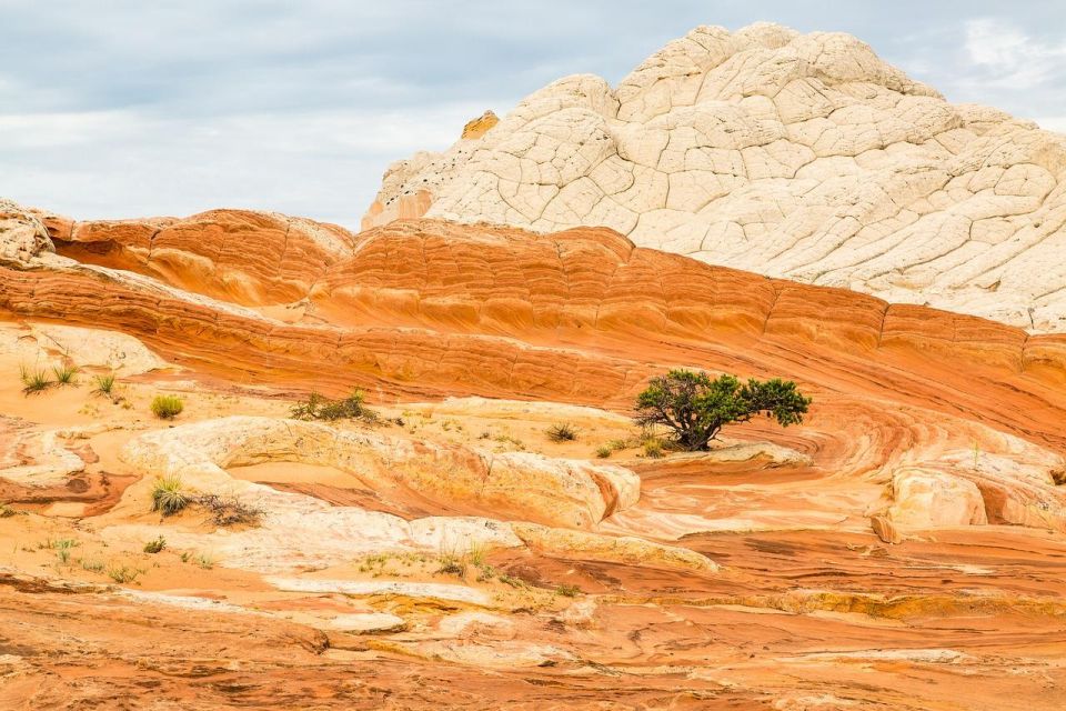 Kanab: White Pocket Tour & Hike - The Journey to White Pocket: What to Expect