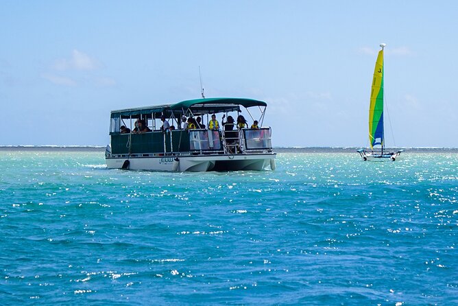 Kaneohe Sandbar Snorkeling Tour - 1st Tour - An In-Depth Look at the Itinerary