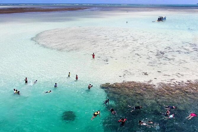 Kaneohe Sandbar Snorkeling Tour - 2nd Tour - Practical Tips for Booking & Enjoying the Tour