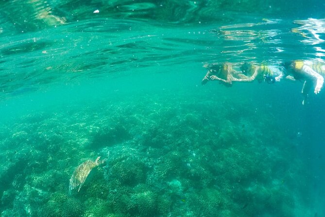 Kaneohe Sandbar Snorkeling Tour - 2nd Tour - The Sum Up