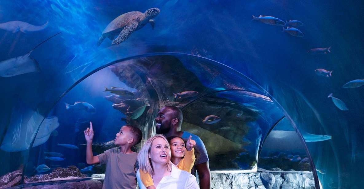 Kansas City: SEA LIFE Kansas City Aquarium General Admission - What to Expect During Your Visit