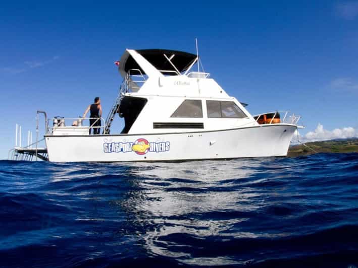 Kauai: 2 Tank Afternoon Dive - Why This Tour Is Worth Considering