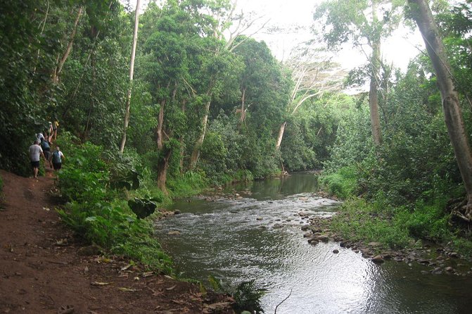 Kauai Adventure: Kayak & Hike to Secret Falls with Expert Guide - The Full Experience: What to Expect on the Kauai Kayak & Hike Tour