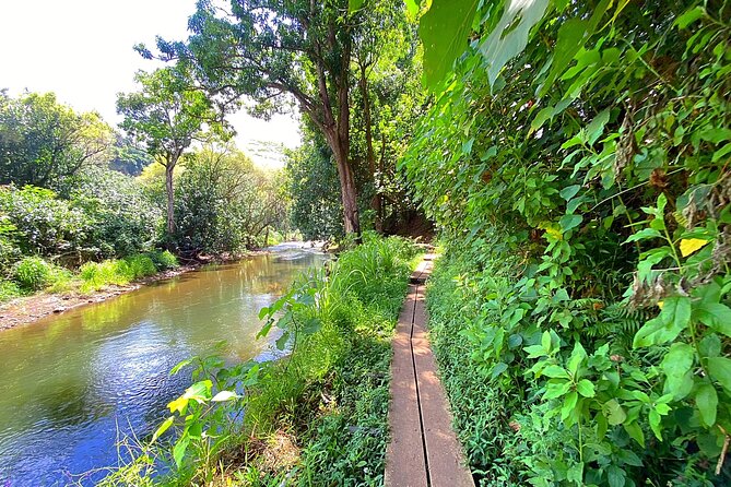 Kauai Adventure: Kayak & Hike to Secret Falls with Expert Guide - Authentic Insights from Reviewers