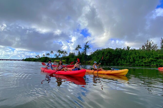 Kauai Adventure: Kayak & Hike to Secret Falls with Expert Guide - Who Should Consider This Tour?